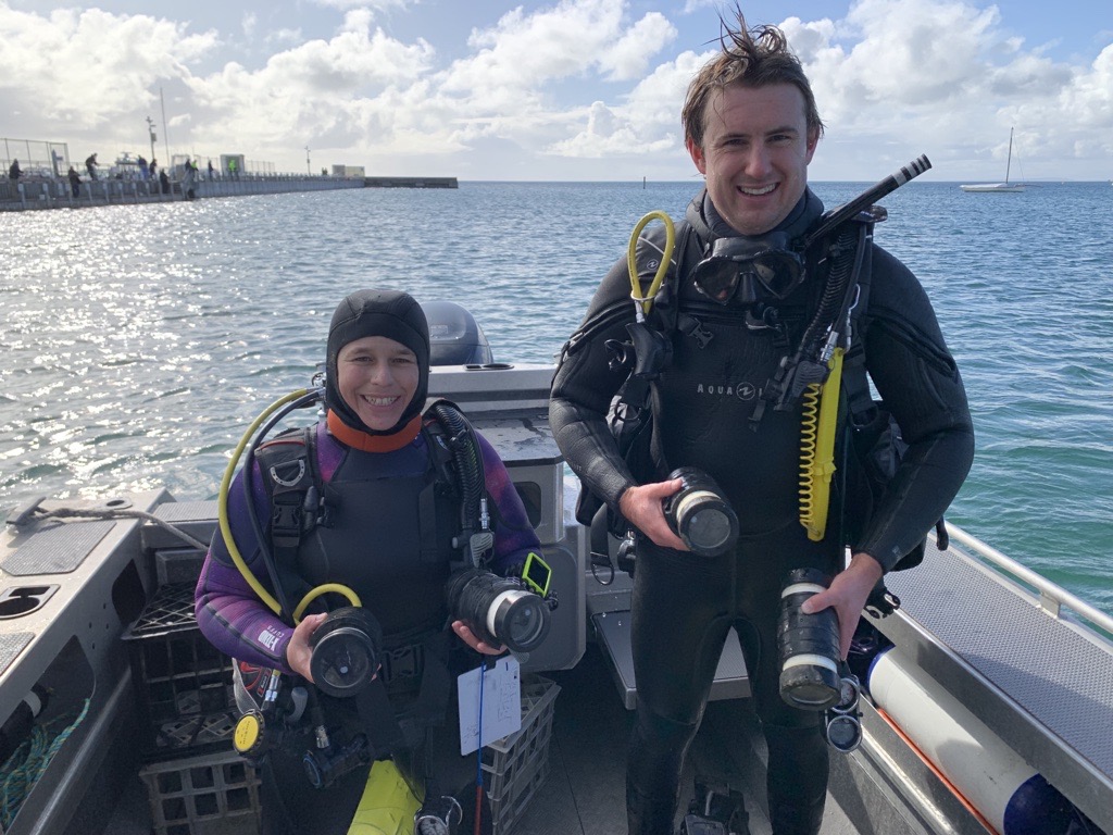 'Spider crabs are gathering in their thousands': a day in the life of a ...