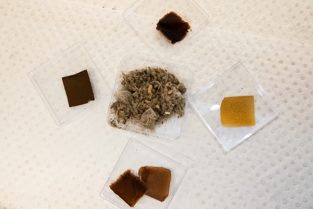 Deakin scientists turn plant waste into biodegradable plastic | Deakin