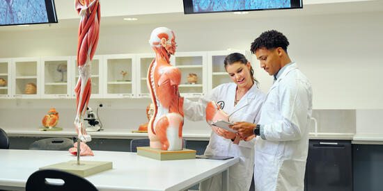 Doctor of Medicine application guide for international students